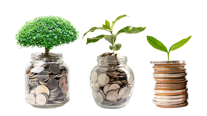 The Importance of Market Capitalization: Small Cap vs. Large Cap ...